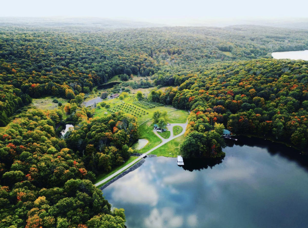 Pocono Mountain Maple | Newfoundland, PA 18445