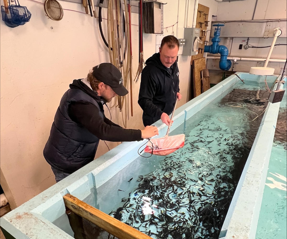 Pleasant Mount State Fish Hatchery | Pleasant Mount, PA 18453