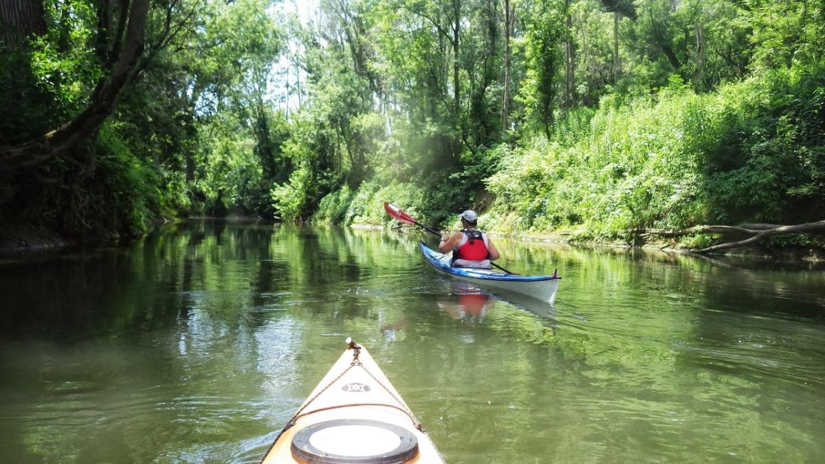 East Branch Little Calumet Water Trail
