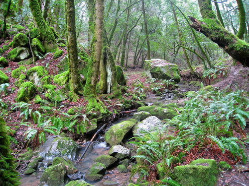 Creek Ridge County Park