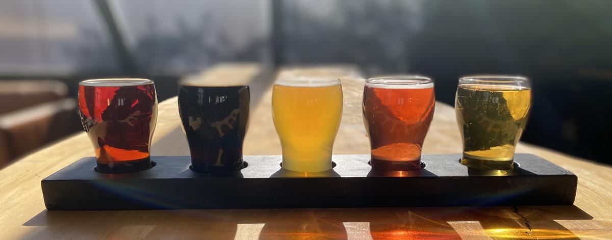 Beech Tree Craft Beer Queenstown | Official Queenstown Website