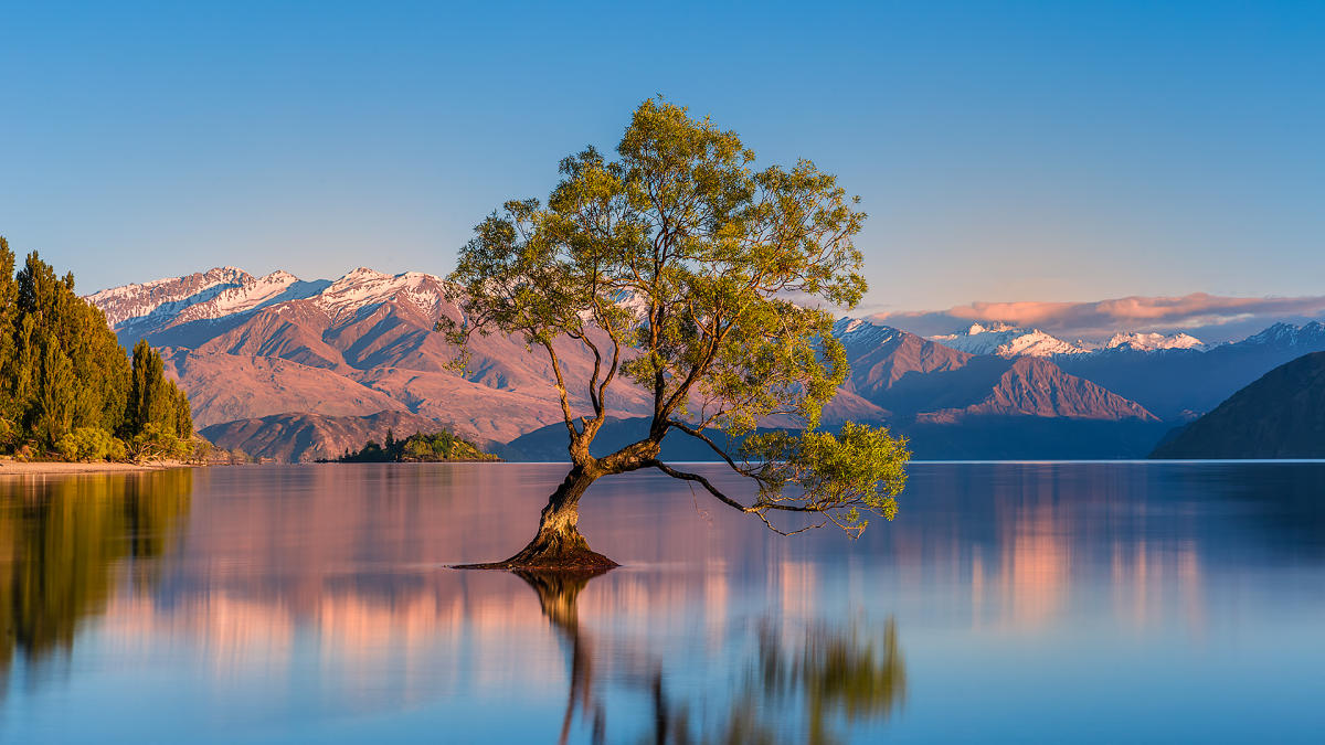 Queenstown to Wanaka Private Luxury Day Tour | Official Queenstown Website
