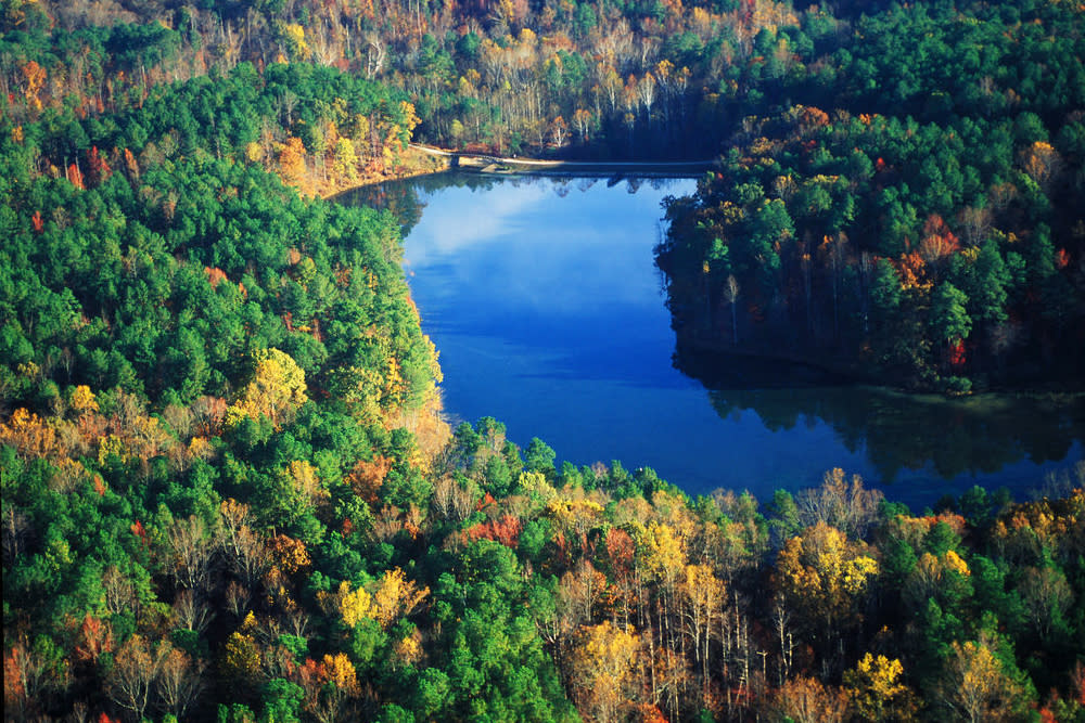 William B. Umstead State Park | Raleigh, NC 27617