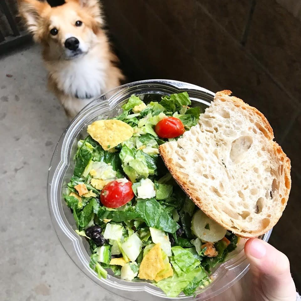 Chopt Creative Salad Company-Downtown