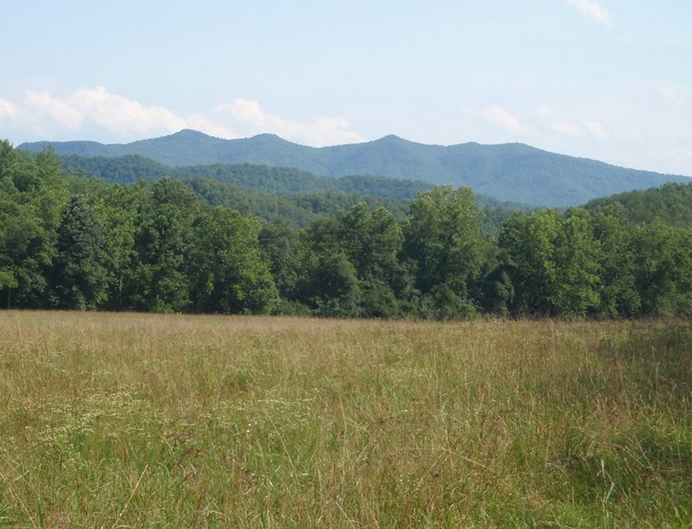 Blue Ridge Land Conservancy | Roanoke, VA 24016