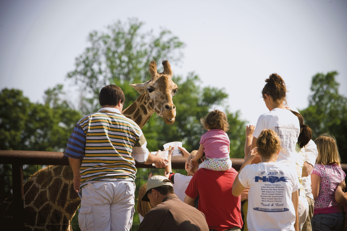 Lazy 5 Ranch | Mooresville, NC 28115