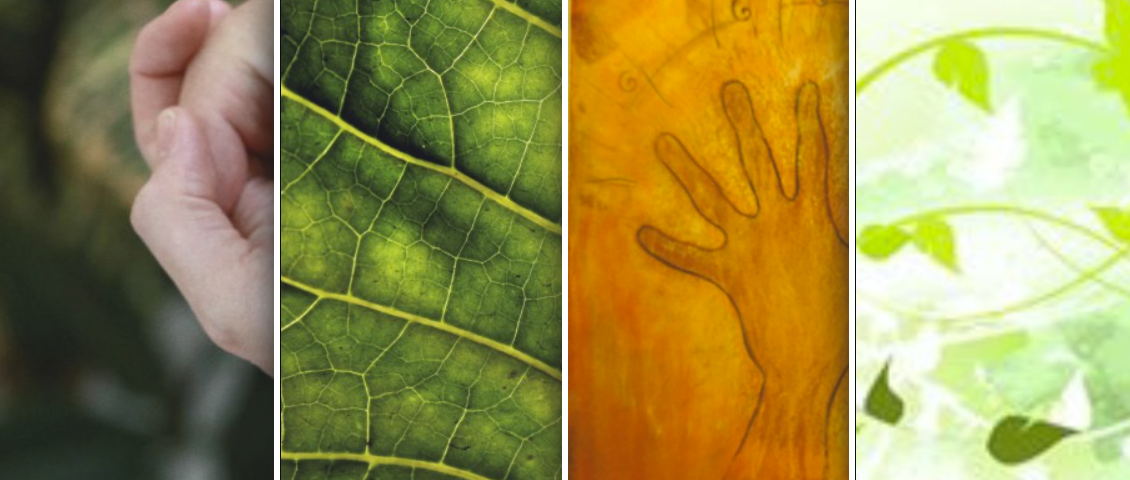 Green Life Massage Salisbury Nc 28144