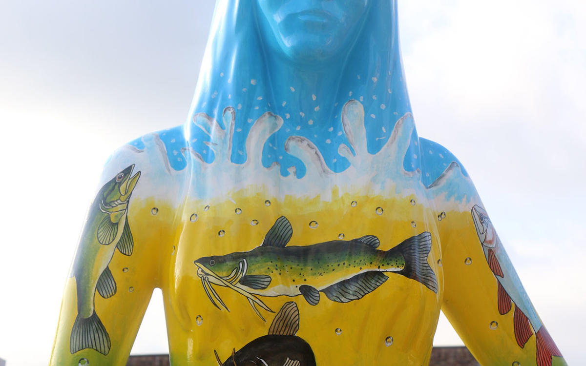 The Fish of the San Marcos Waterways | San Marcos, TX