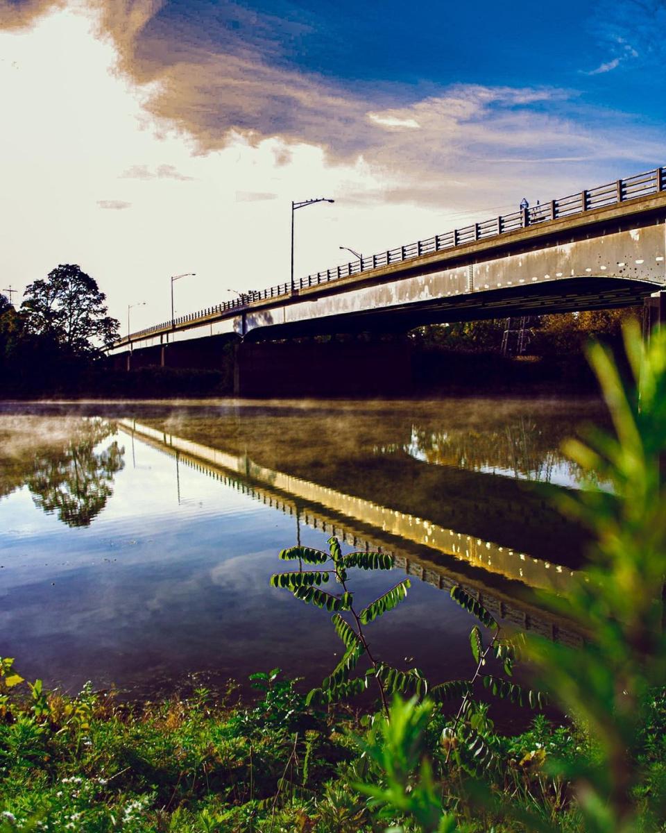 Collins Park