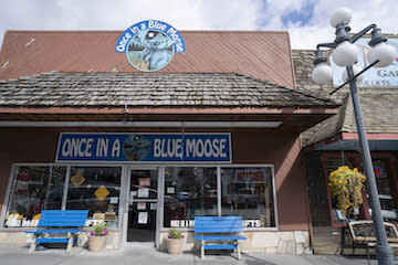 Once in a Blue Moose