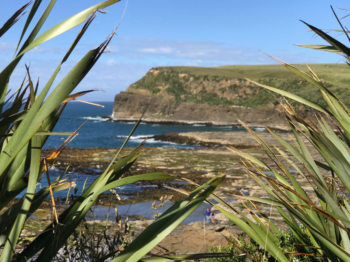 Curio Bay/Tumu Toka & Porpoise Bay