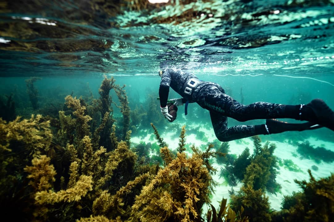 Gravity Fishing Experience