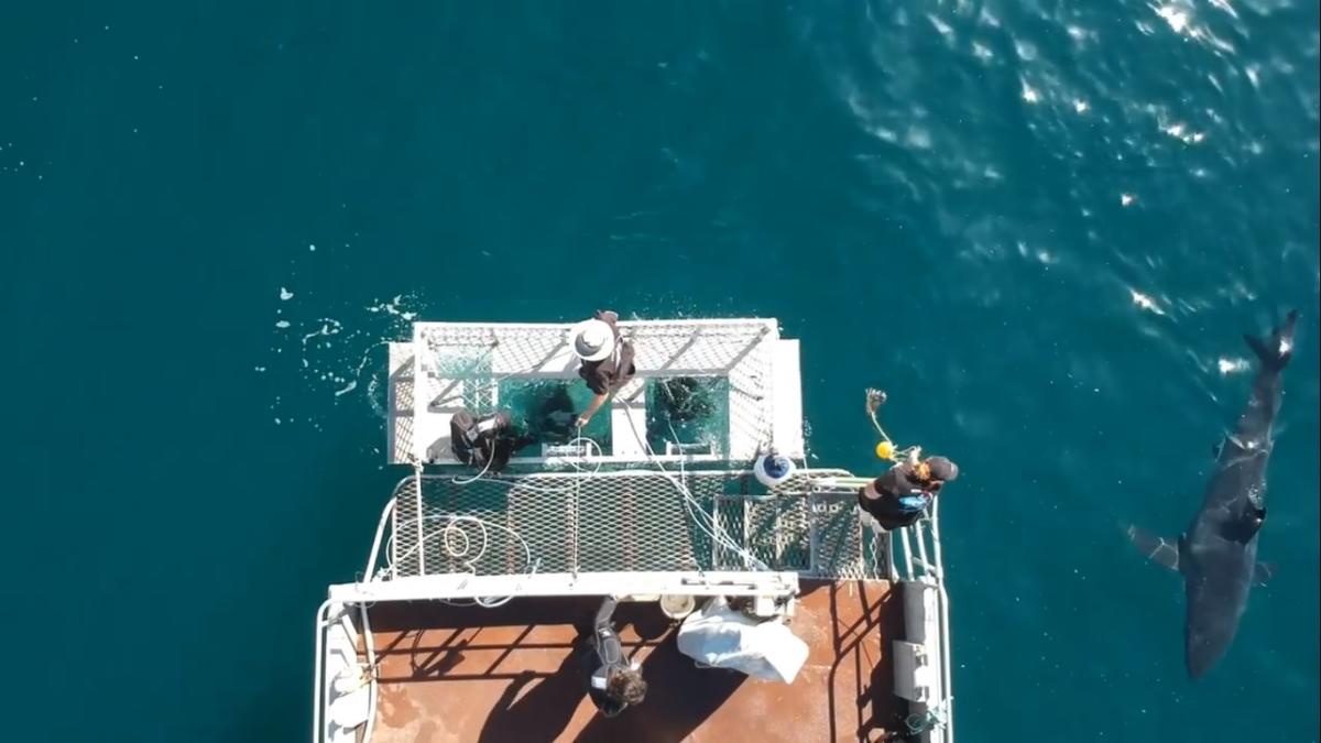 Southern Isle Charters