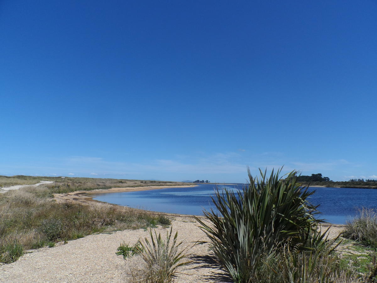 Waituna Lagoon & Awarua Wetlands