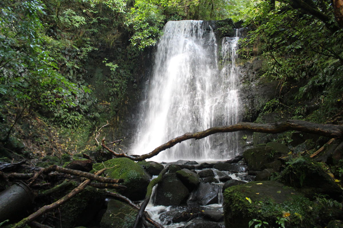 Matai Falls & Horseshoe Falls