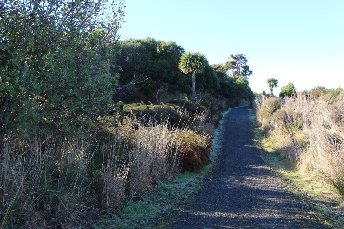 Rover Track/Petrie's Track