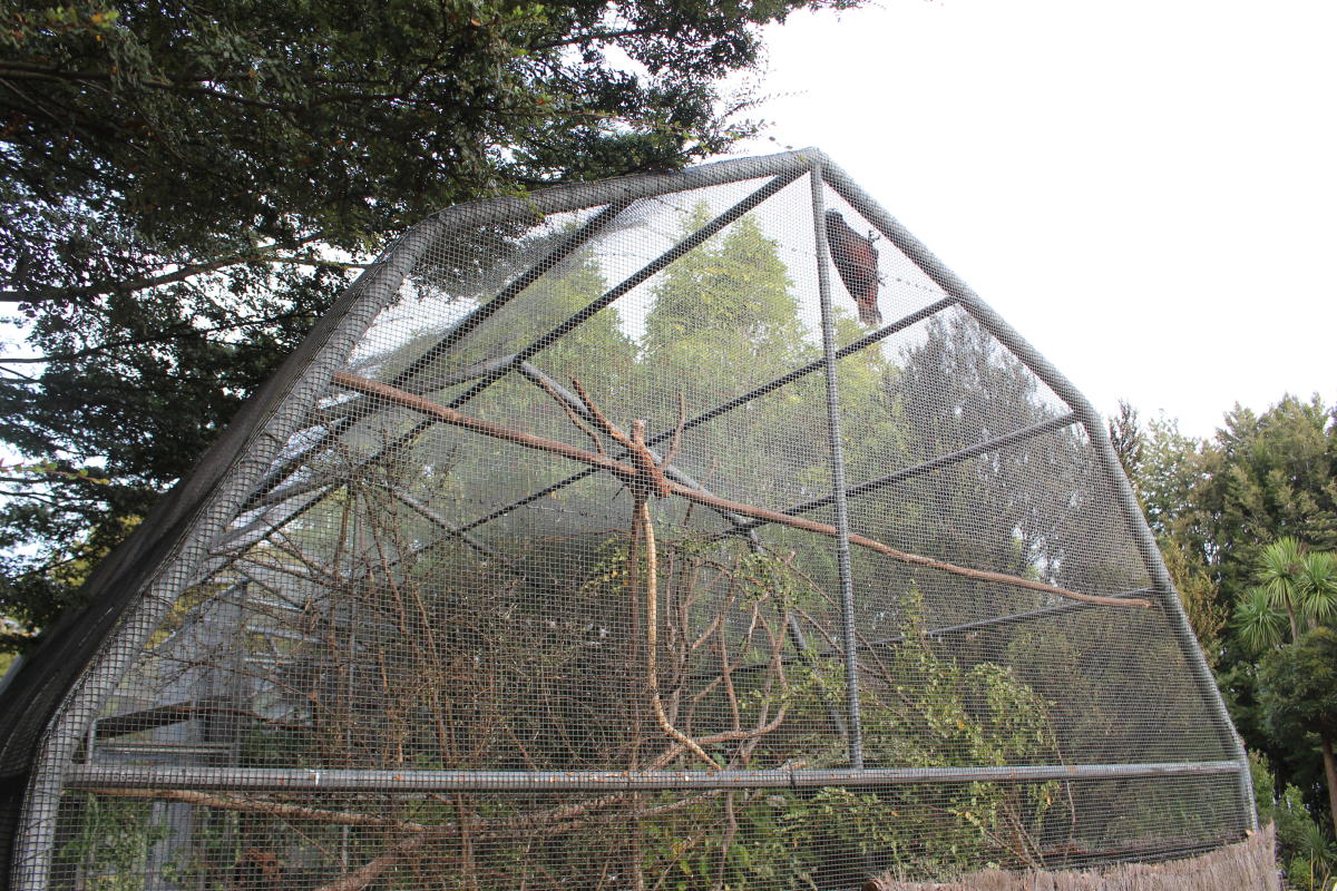Te Anau Bird Sanctuary