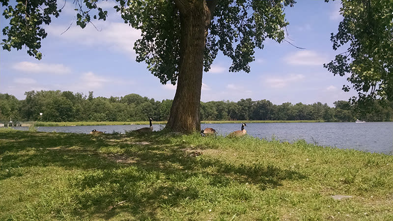 Willow Slough Fish & Wildlife Area