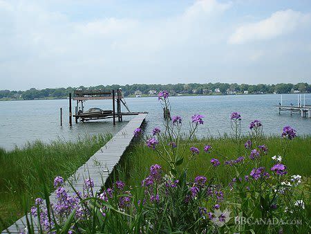 Along the River Bed and Breakfast