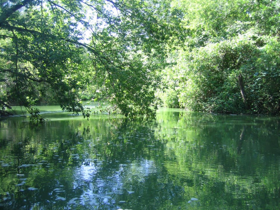 Fanshawe Conservation Area