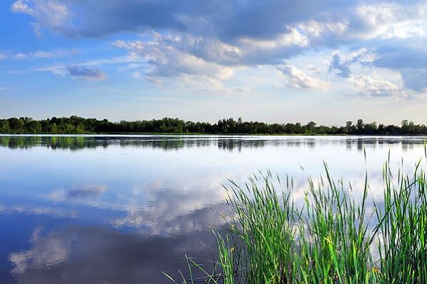 Waterford Lake Conservation Area