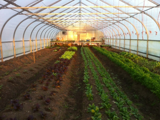 Shared Harvest Community Farm & Educational Centre