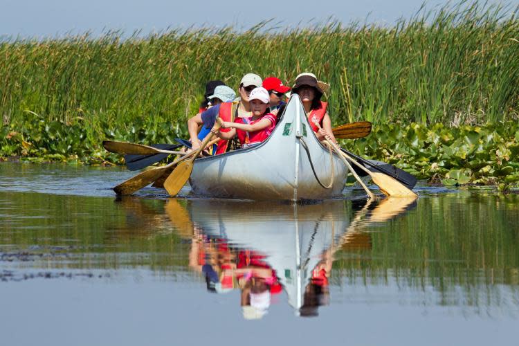 Freighter Canoe Tour