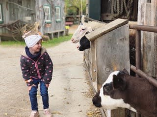 Clovermead Adventure Farm