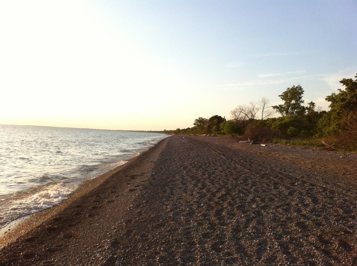Point Pelee North West Beach