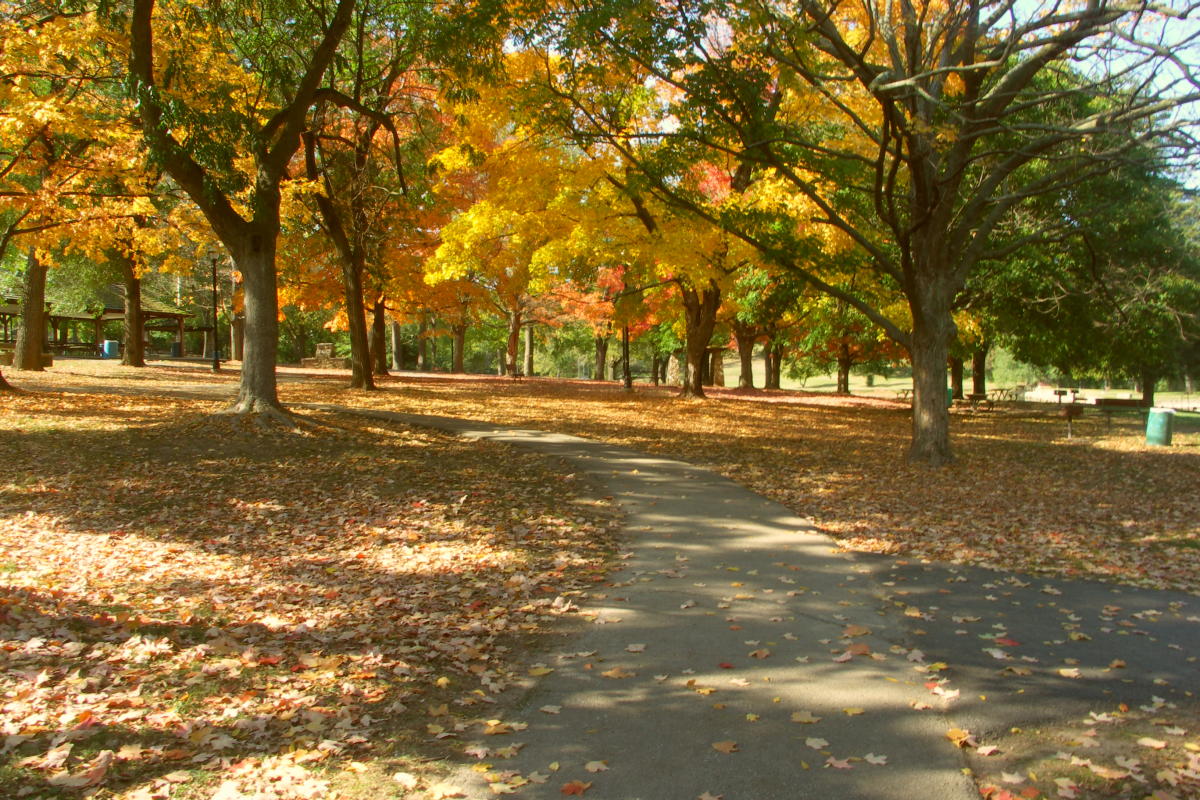 Doling Park and Family Center