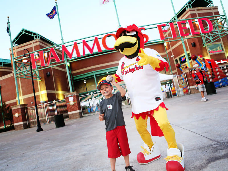 Springfield Cardinals Baseball