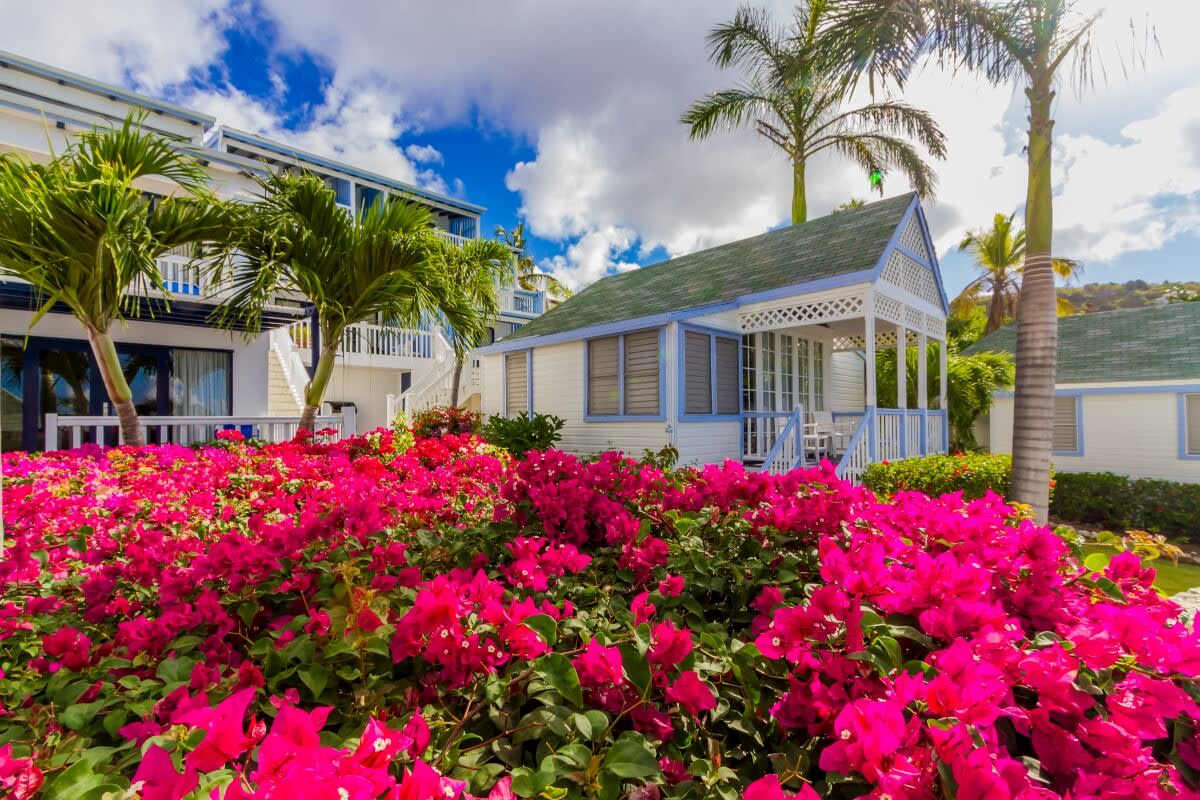 La Vista Beach & Resort