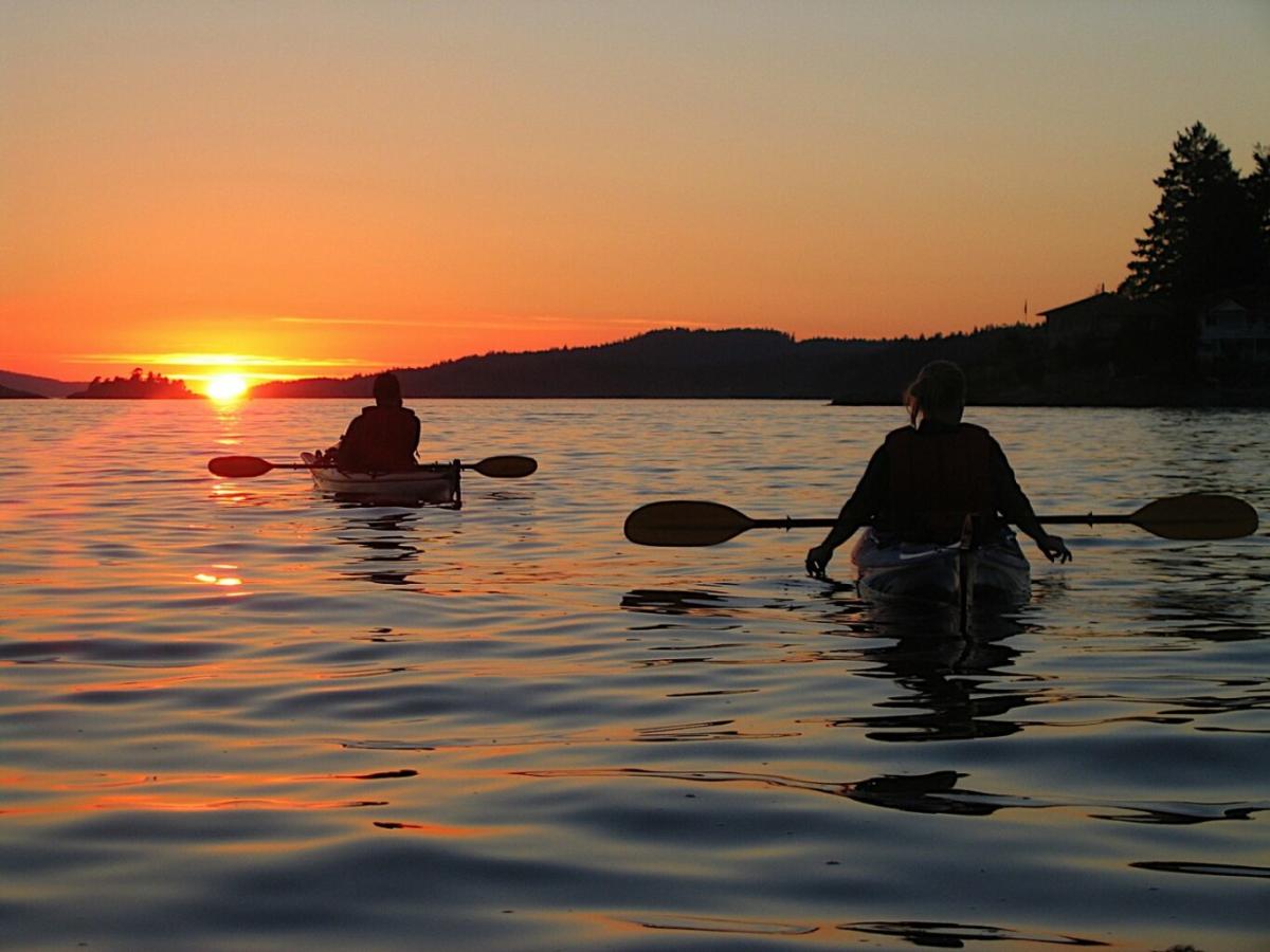 Alpha Adventures - Outdoor Adventure Store