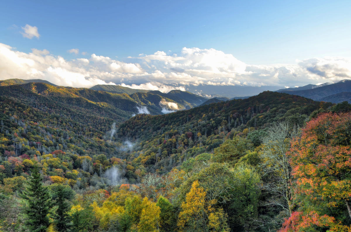Swinging Bridges Overlooks