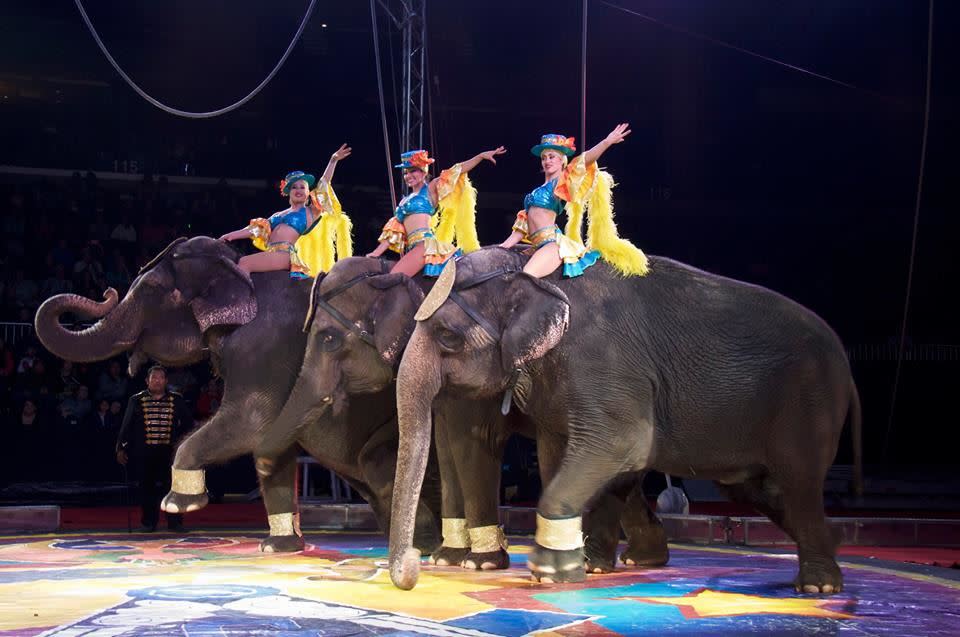 Carden International Circus
