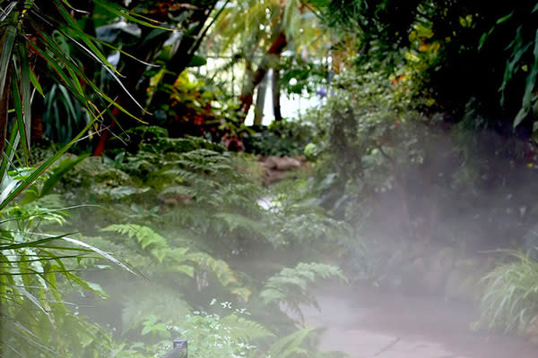 Centennial Park Conservatory | Toronto, ON M9C 3R7