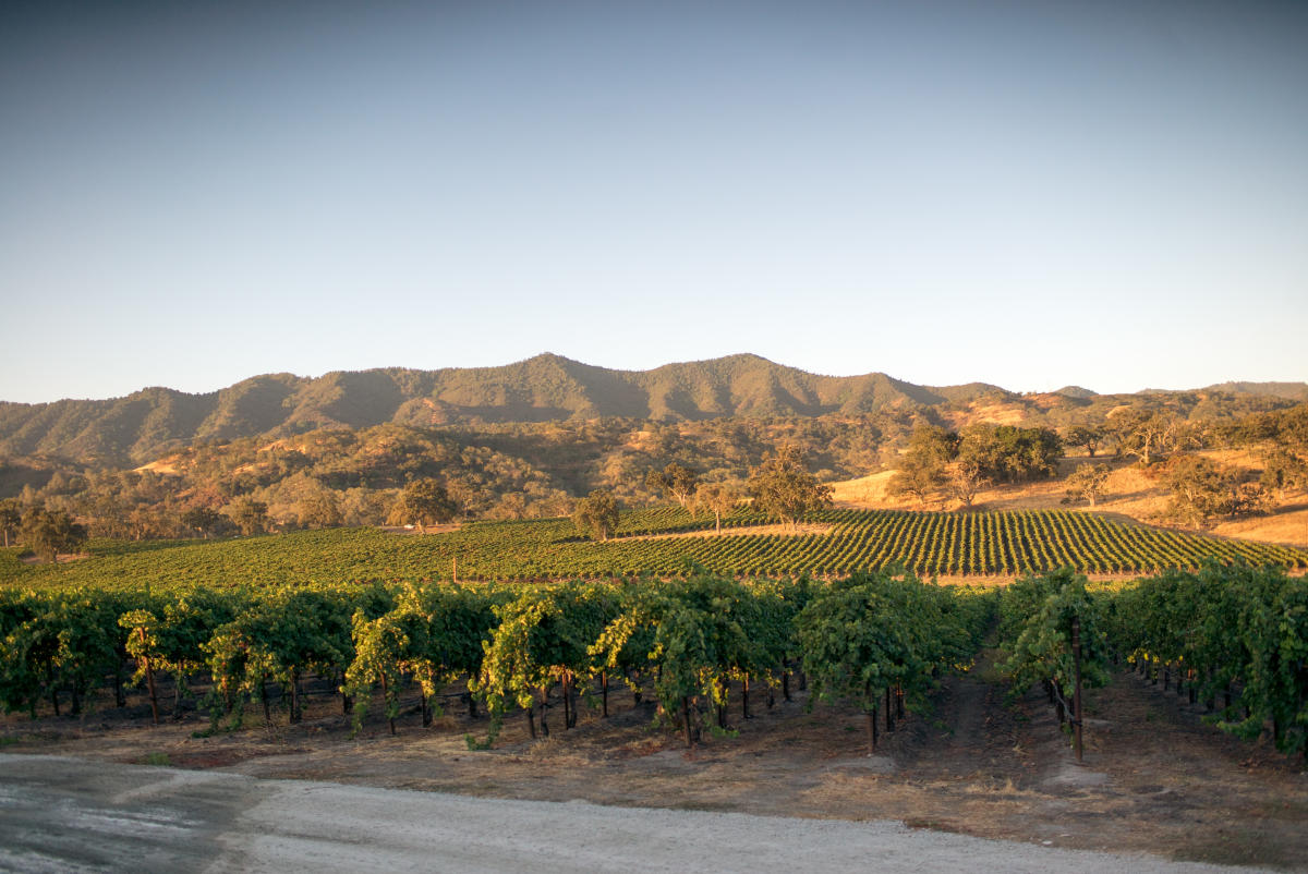 Ancient Peaks Winery