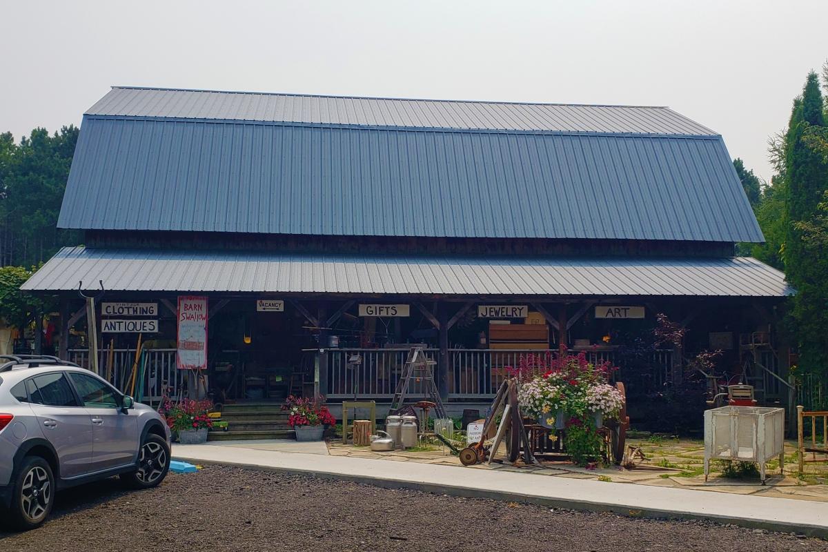 Barn Swallow at Crystal Gardens | Frankfort, MI 49635