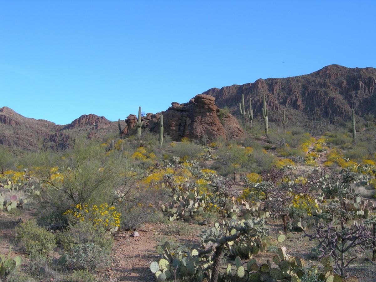 Pima County Attractions & Tourism | Tucson, AZ 85701