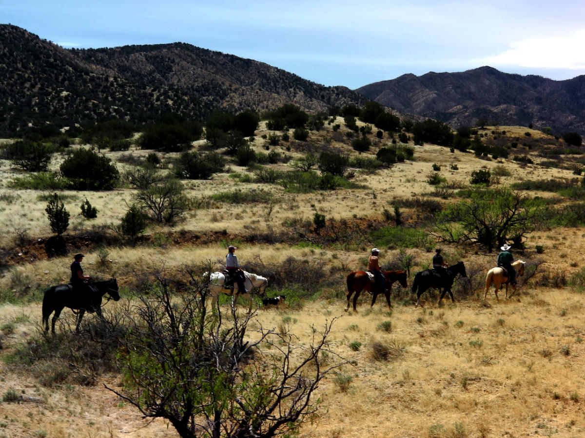 Arizona Dude Ranch Association | Cortaro, AZ 85652