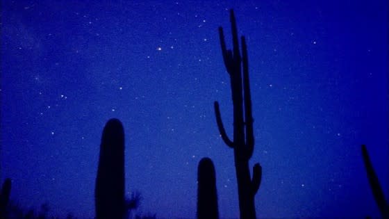 Stargazing | Tucson & Southern Arizona, AZ
