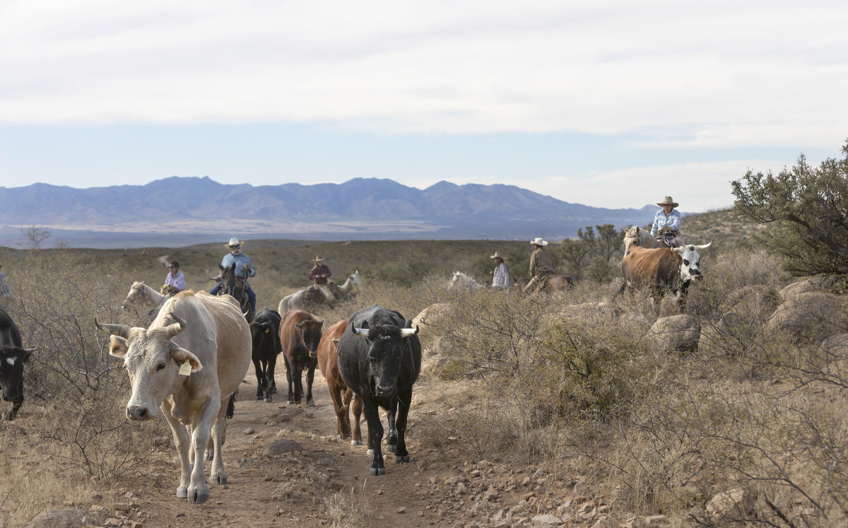 Tombstone Monument Ranch