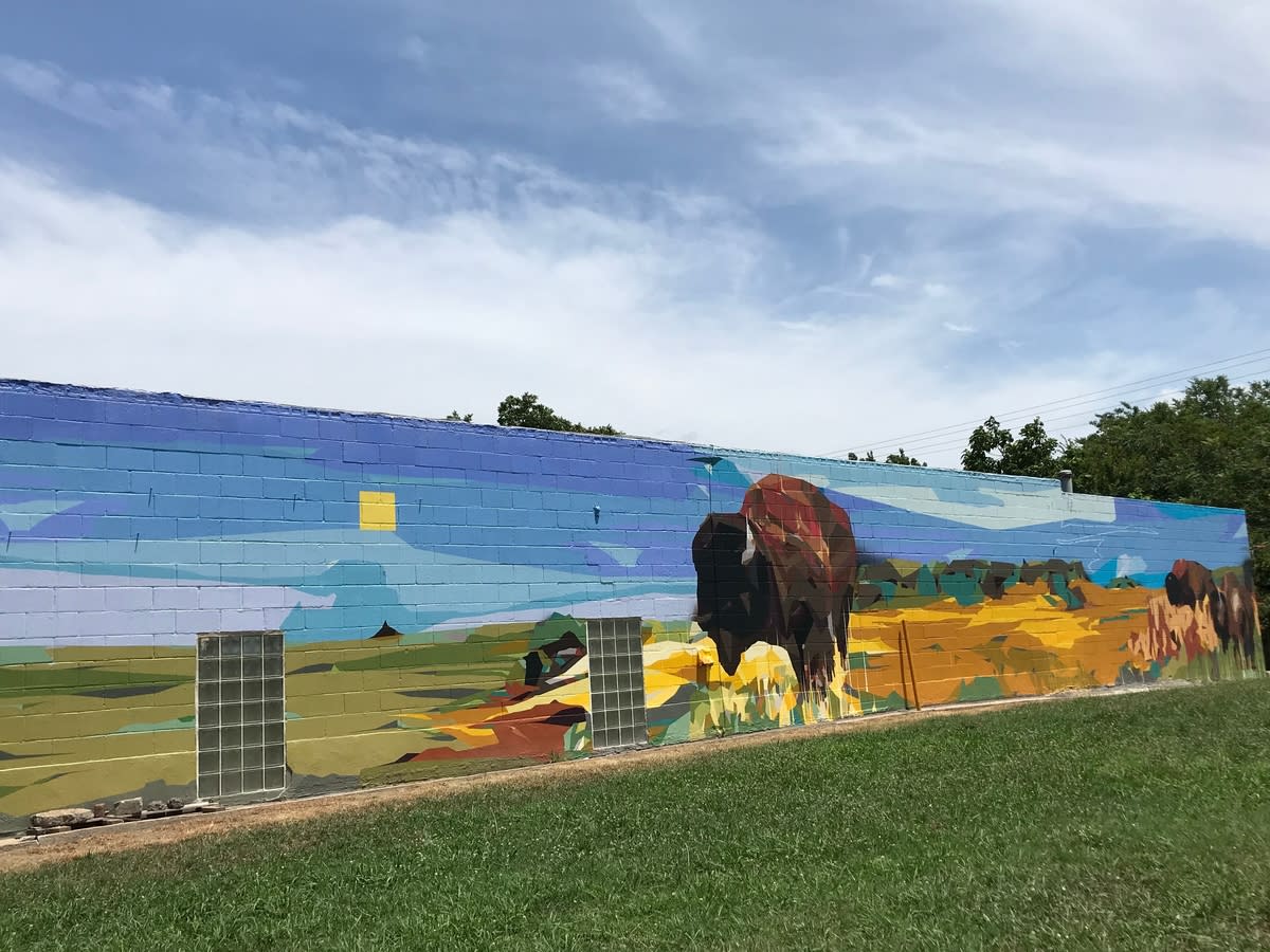 Bison Mural | Tulsa, OK 74120