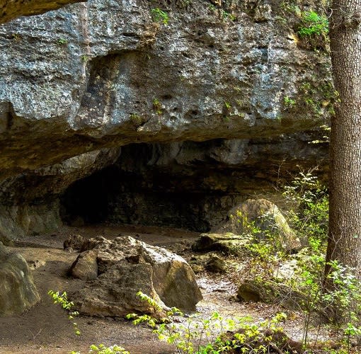 Redbud Valley Nature Preserve | Tulsa, OK 74115