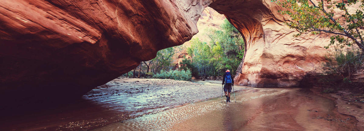 Coyote Gulch