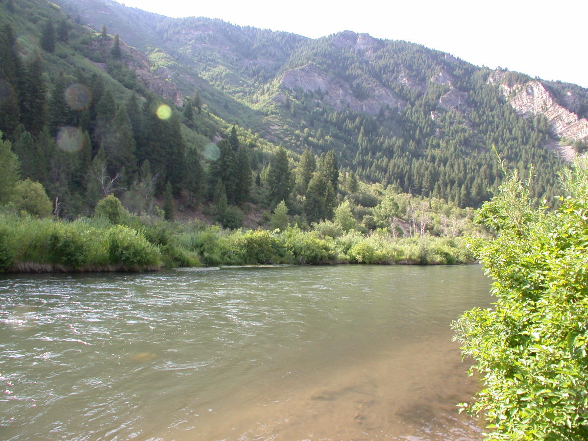 Provo River