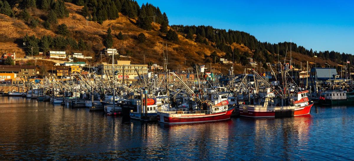 Discover Kodiak