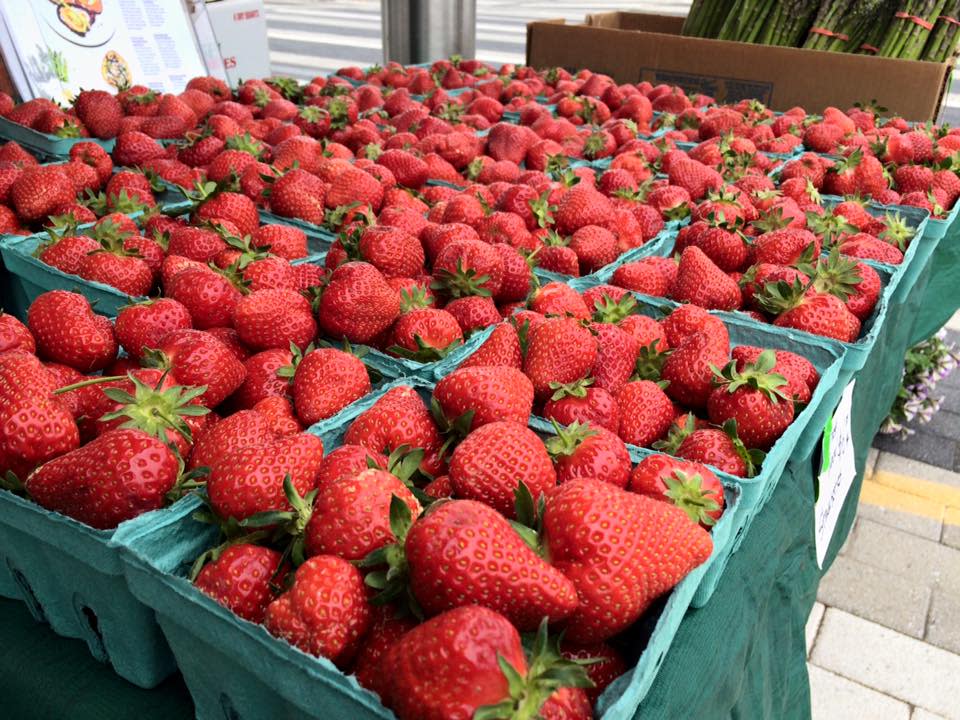 Springfield Farmers Market