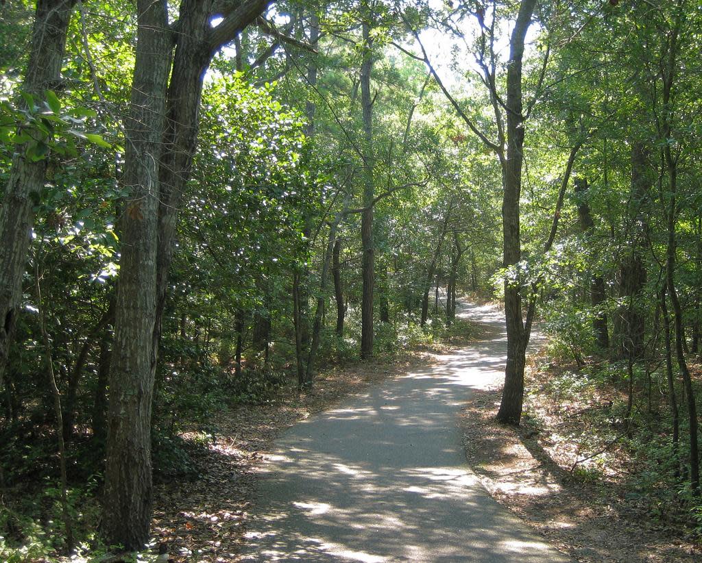 First Landing State Park Camping