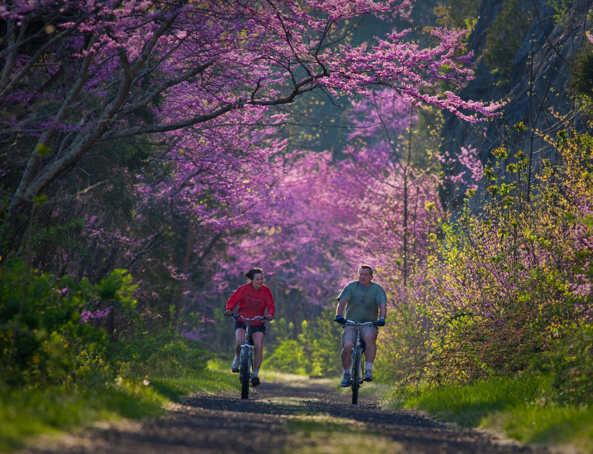 New River Trail State Park